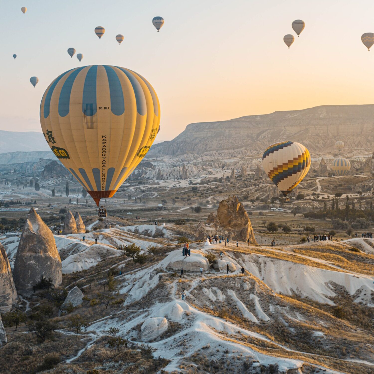 Industry - Travalyst